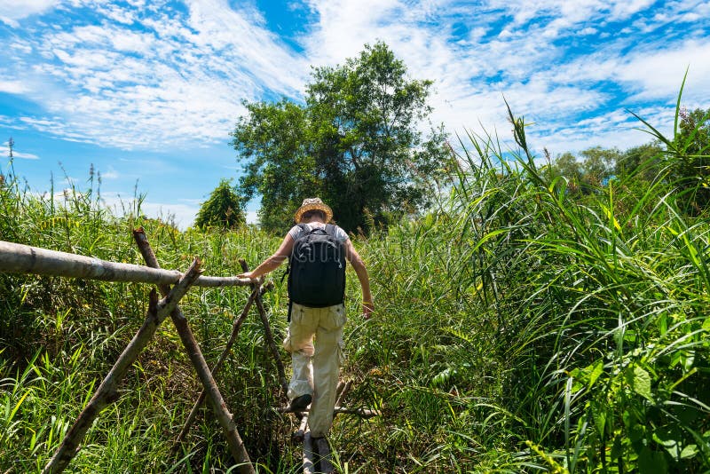 Woman Hiking in Tropical Field Stock Photo - Image of outdoors, people ...