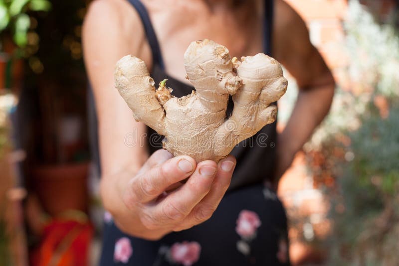 Woman holding ginger stock image. Image of black, ginger - 61024971