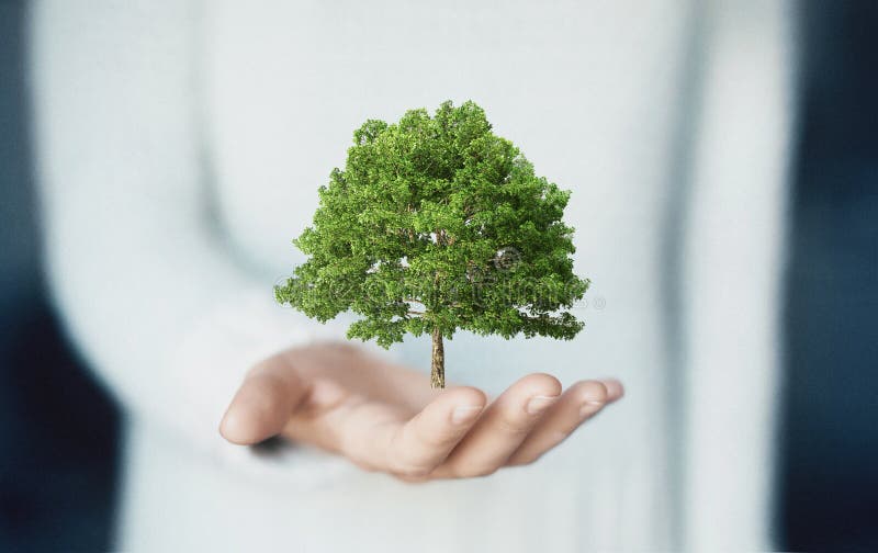 Woman Holding Green Tree in Hand, 3d Rendering Stock Image - Image of ...