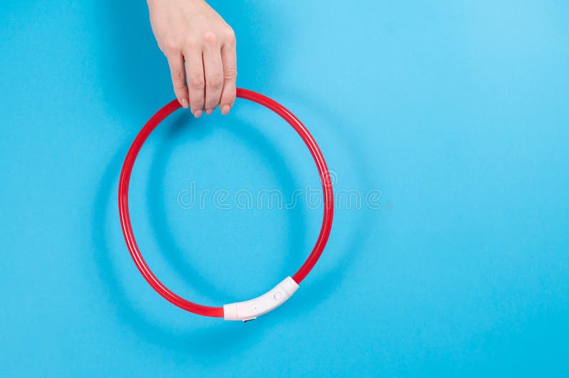 A Woman is Holding a Large Led Collar on a Blue Background. Stock Photo ...