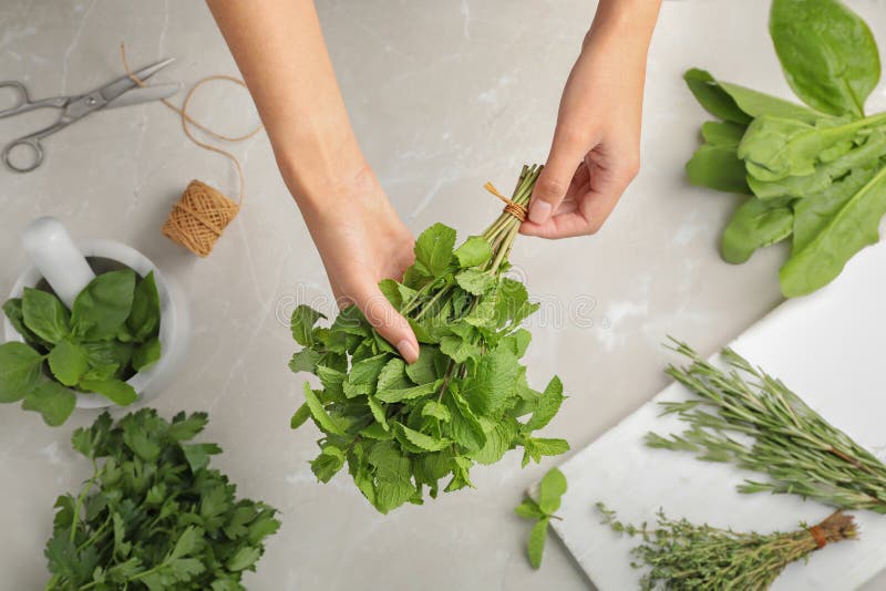 Woman Holding Mint Over Table, Top View Stock Image - Image of herbal ...
