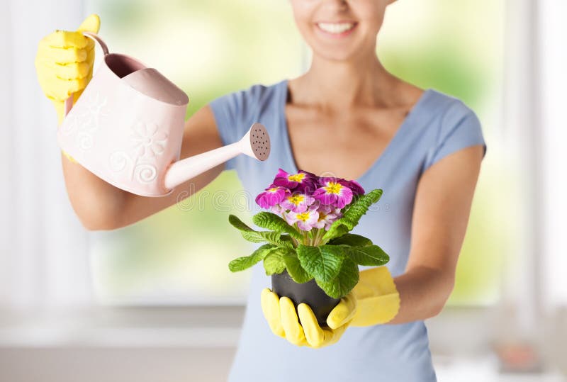 Woman Holding Pot with Flower Stock Photo - Image of floral, gardening ...