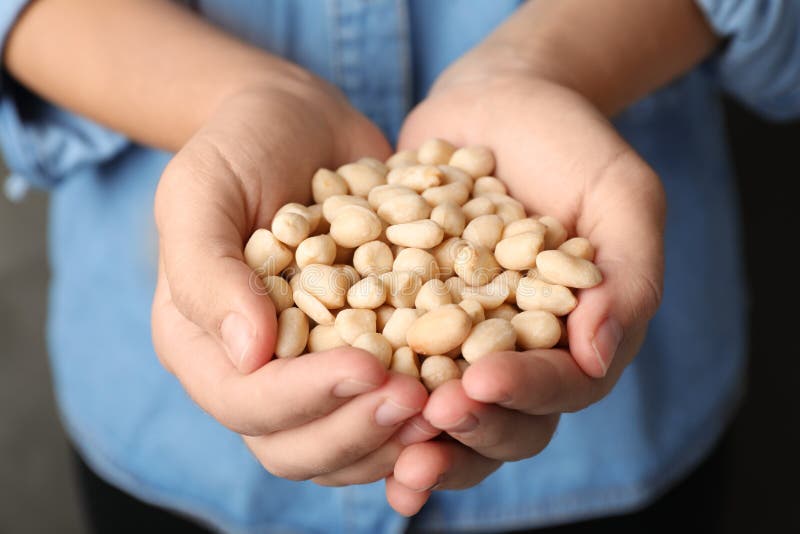 Woman Holding Shelled Peanuts in Hands Stock Photo - Image of plant ...