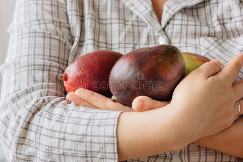 Woman Holding Three Ripe Mango in Her Hands. Stock Image - Image of ...