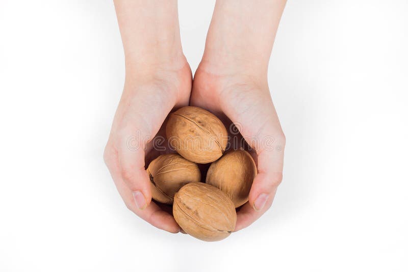 Woman Holding Whole Walnut in Her Hands. Walnut Isolated. Walnut ... Woman Holding Whole Walnut in Her Hands. Walnut Isolated. Walnut ...