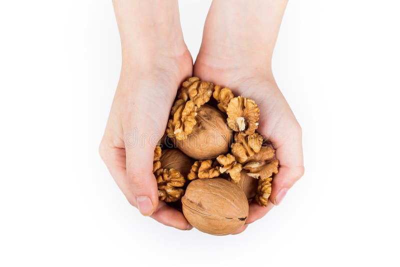 Woman Holding Whole Walnut in Her Hands. Walnut Isolated. Walnut ... Woman Holding Whole Walnut in Her Hands. Walnut Isolated. Walnut ...