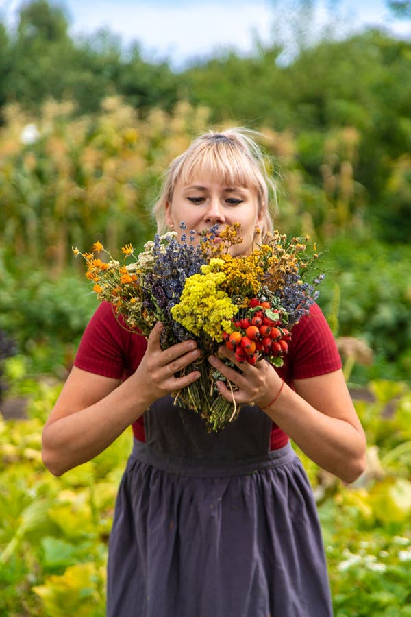A Woman Holds Medicinal Herbs in Her Hands. Selective Focus Stock Image ...