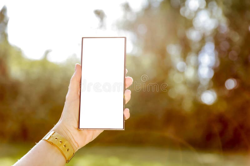 Smartphone with Blank Screen in Woman Hands in Natural Garden Setting ...
