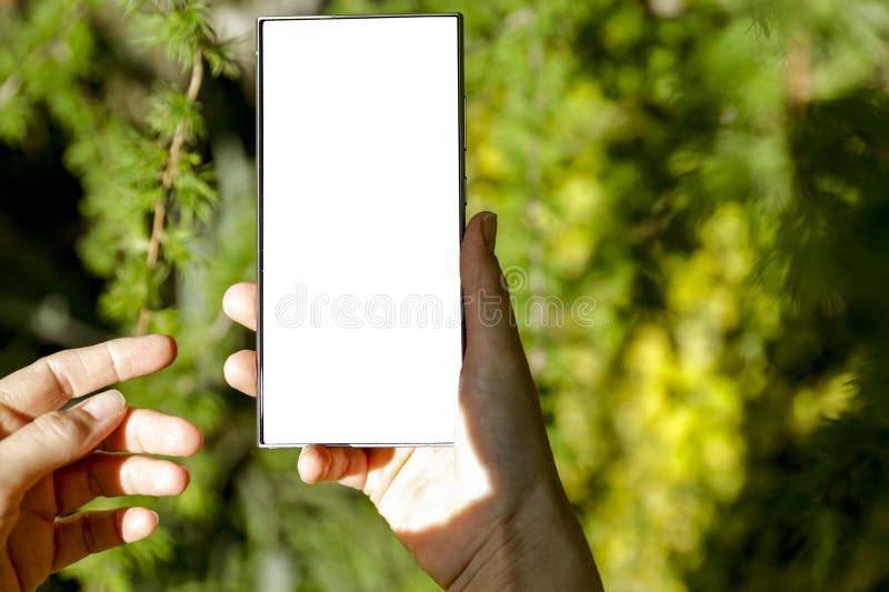 Smartphone with Blank Screen in Woman Hands in Natural Garden Setting ...