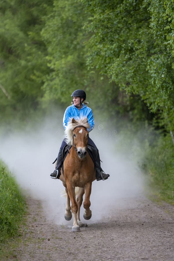 Riding in the forest stock image. Image of path, recreation - 69455