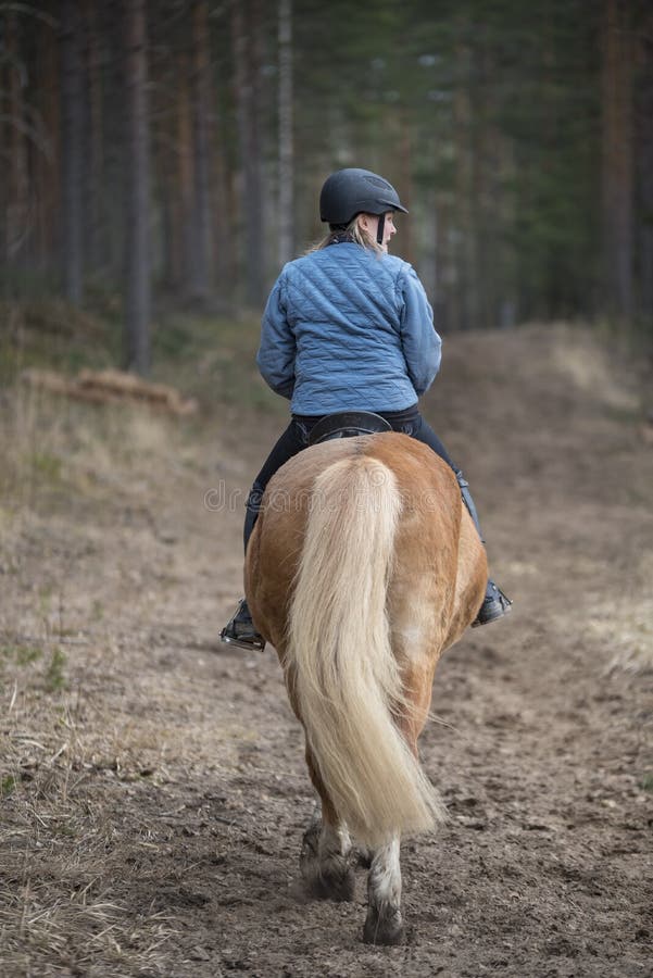 Riding in the forest stock image. Image of path, recreation - 69455