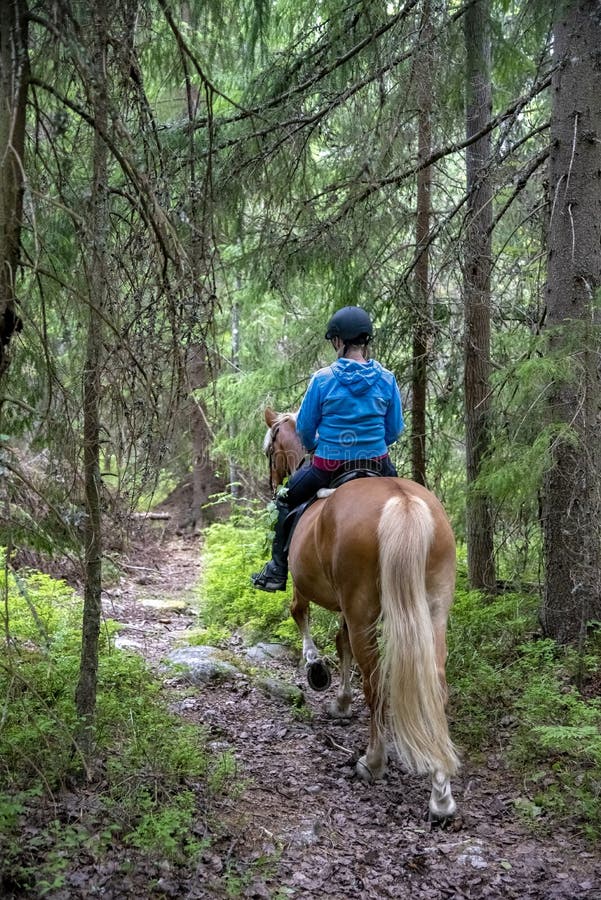 Riding in the forest stock image. Image of path, recreation - 69455