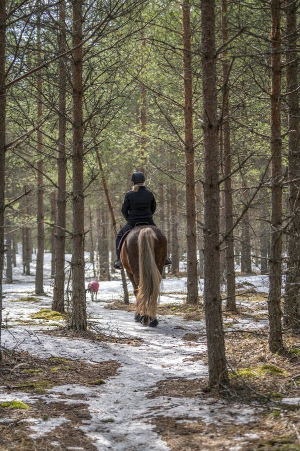 Woman Hiking in Lapland Finland Stock Photo - Image of mountain, peak ...