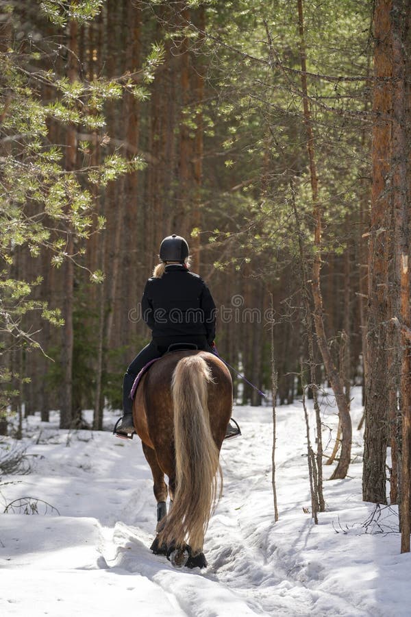 Woman horseback riding stock photo. Image of tree, woman - 275703652