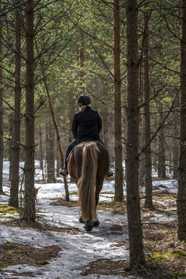 Woman horseback riding stock image. Image of mare, wildlife - 275703663
