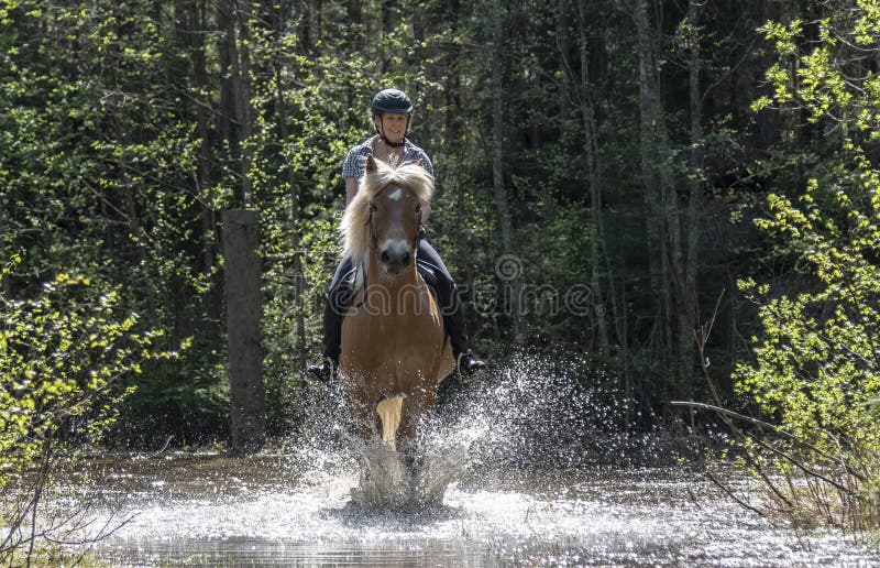 Woman Horseback Riding in Water Stock Photo - Image of activity, field ...