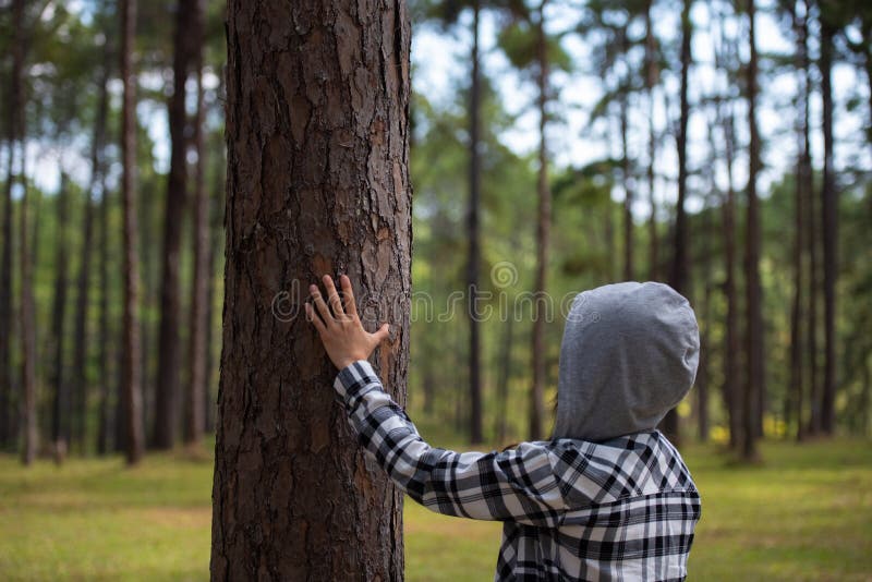 Woman Hugging a Big Tree in the Outdoor Forest Stock Image - Image of ...