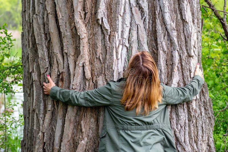 Woman Hugging Mighty Oak Tree Stock Photos - Free & Royalty-Free Stock ...