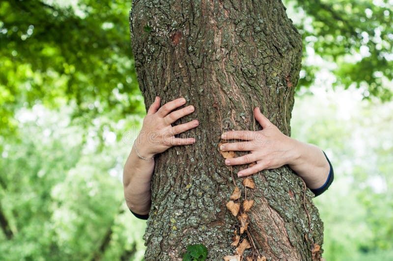 Woman Hugging a Tree in a Forest Stock Image - Image of green, human ...