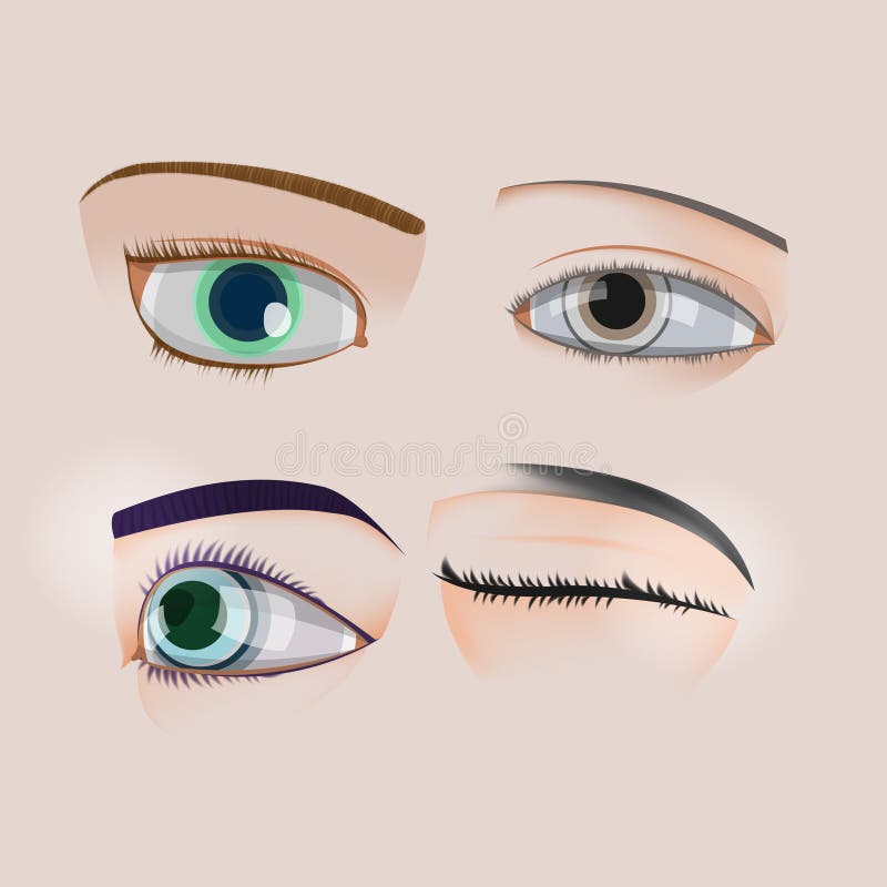 Woman Human Eye Set Collection Vector Stock Vector - Illustration of ...
