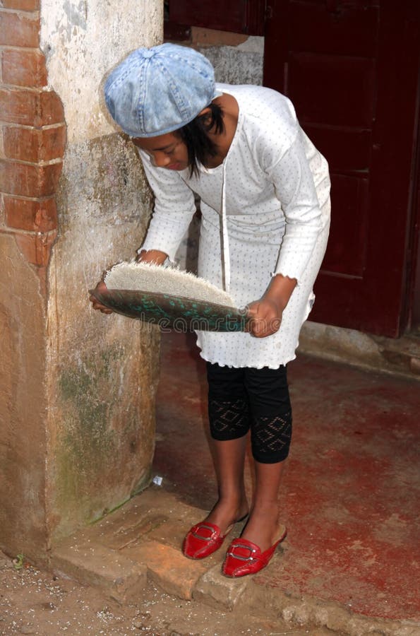 Woman husking rice editorial image. Image of madagascar - 28273705