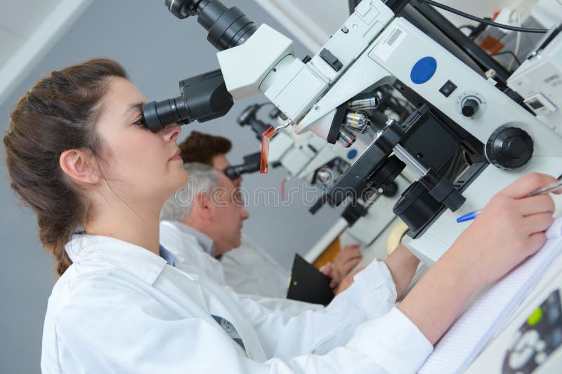 Woman Inspecting Organism through Microscope Stock Photo - Image of ...