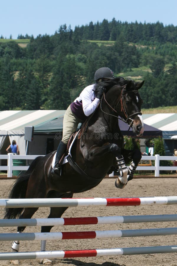 1+ Double hunters Free Stock Photos - StockFreeImages