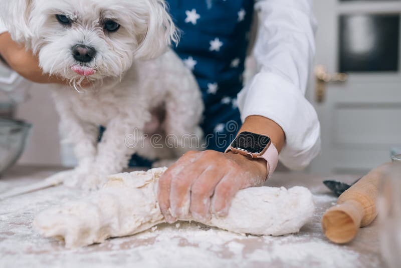 Woman in the Kitchen Kneads the Dough with Her Dog Stock Photo - Image ...