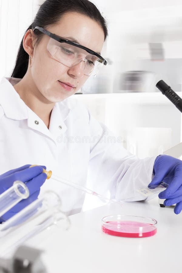 Woman Laboratory Assistant in the Laboratory Stock Image - Image of ...