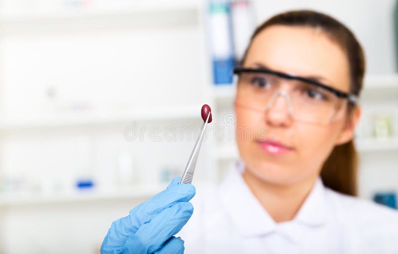 Woman Laboratory Assistant in the Laboratory Stock Image - Image of ...