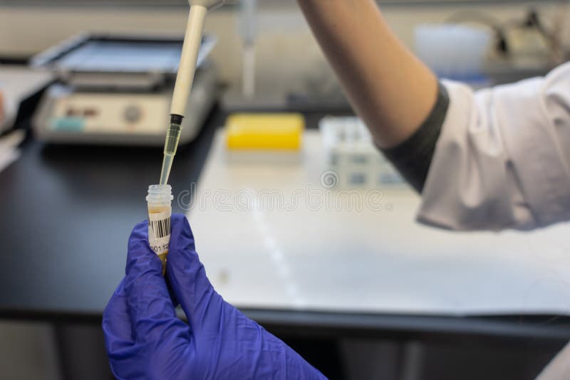 Woman in Laboratory Doing Tests for Vaccine Blood Extraction and ...