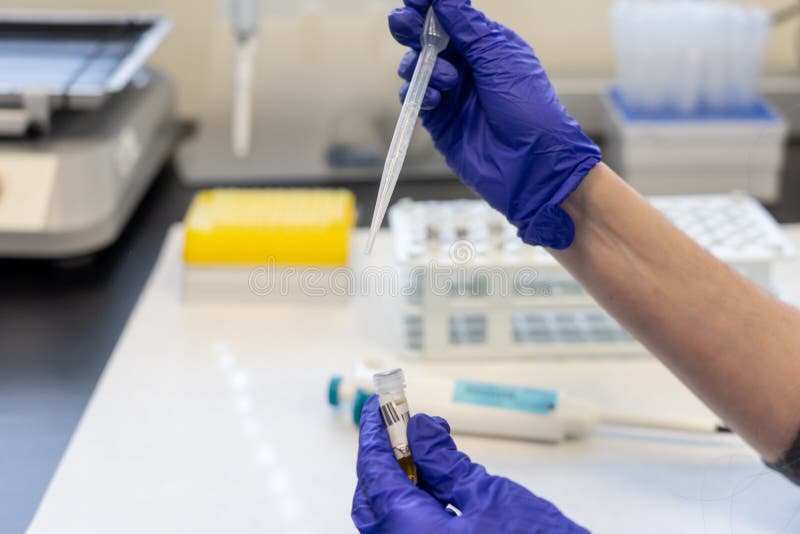 Woman in Laboratory Doing Tests for Vaccine Blood Extraction and ...