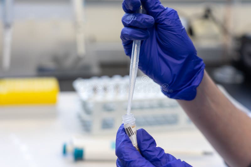 Woman in Laboratory Doing Tests for Vaccine Blood Extraction and ...