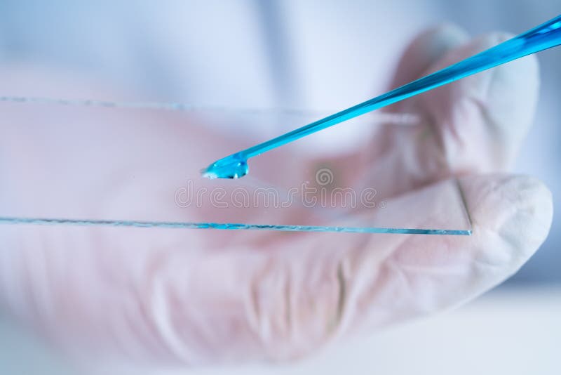 Woman in a Laboratory Microscope with Microscope Slide in Hand. Stock ...