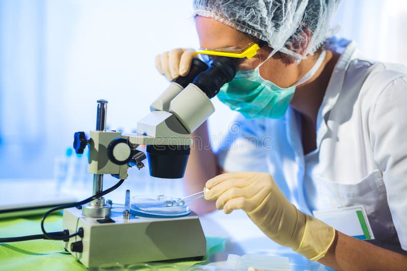 Woman in a Laboratory with a Microscope Stock Photo - Image of people ...