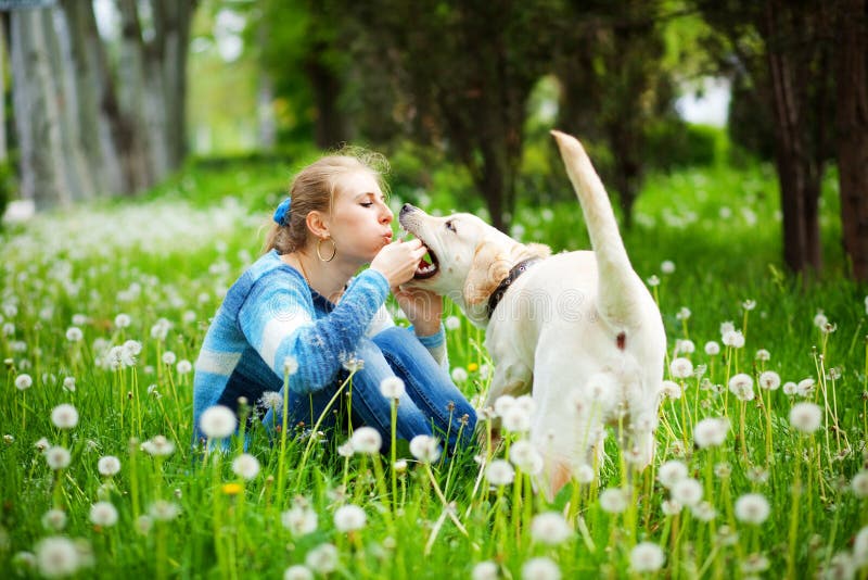 Woman with labrador stock photo. Image of outdoor, happy - 11675586