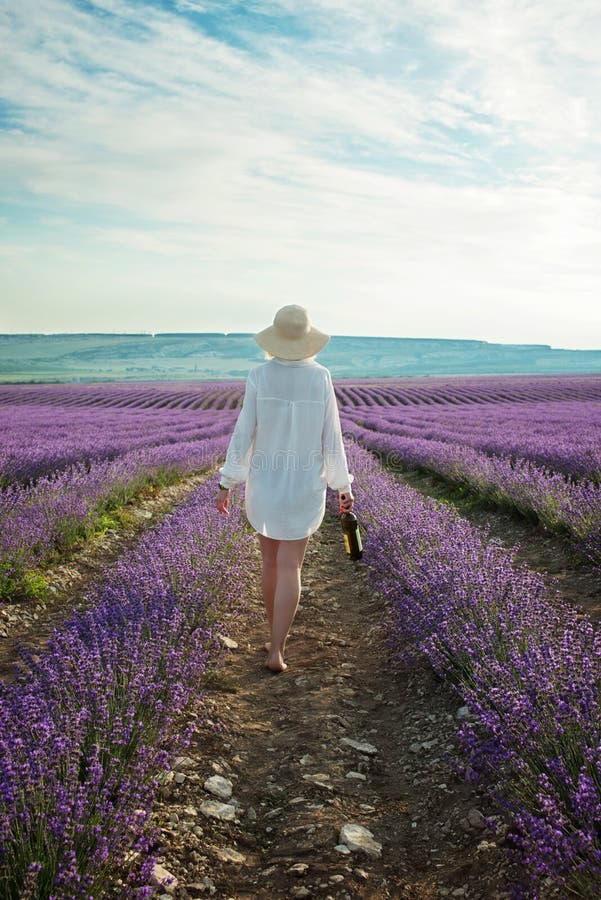 Woman in lavender field stock photo. Image of passion - 204560956