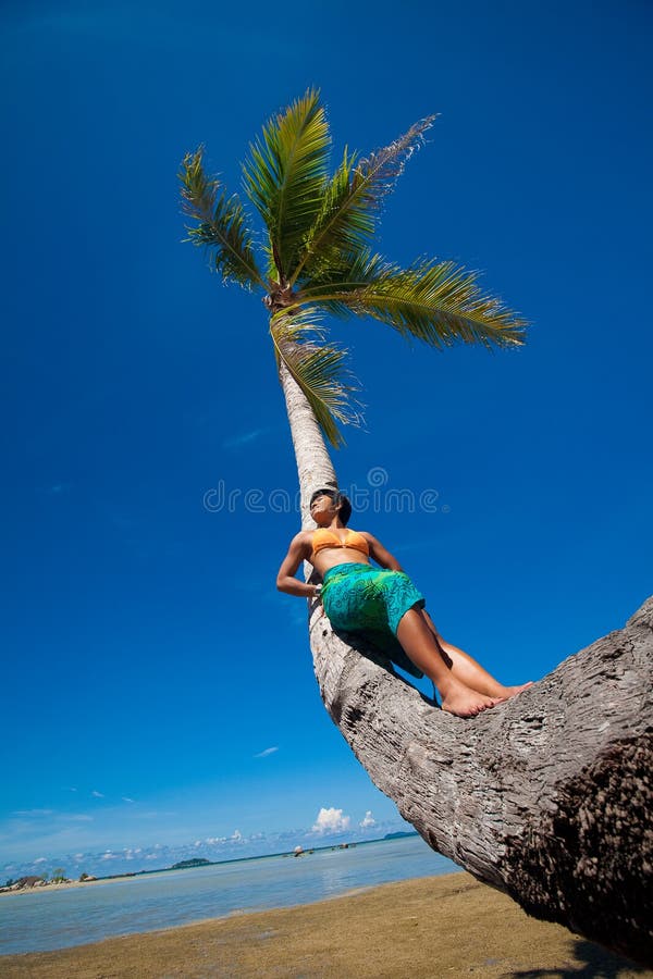 Woman Leaning Against Coconut Tree by a Tropical B Stock Photo - Image ...