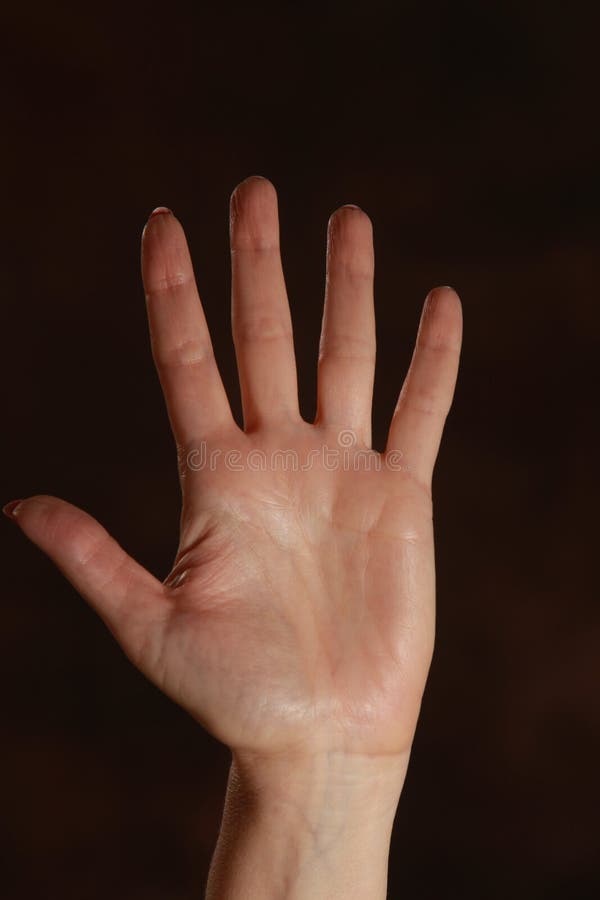 Woman left hand stock image. Image of background, palm - 179604409