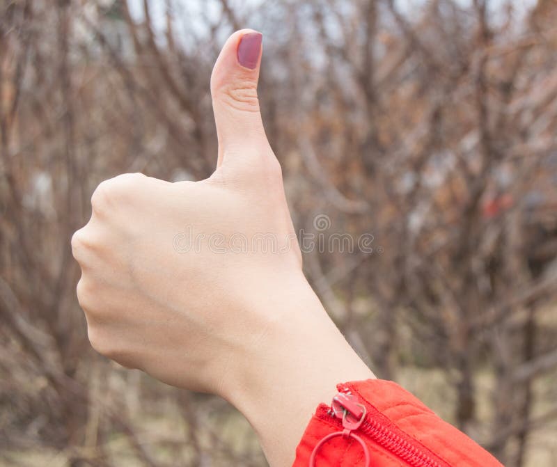 The Woman Left Hand, Making the Sign Good, OK Stock Photo - Image of ...