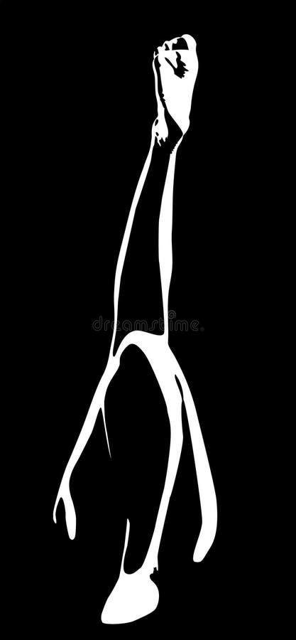 Woman legs stock vector. Illustration of shape, nude, slim - 2031868
