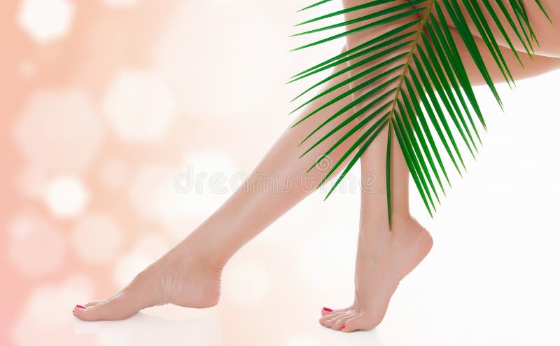 Woman legs stock image. Image of health, beautiful, palm - 27268227