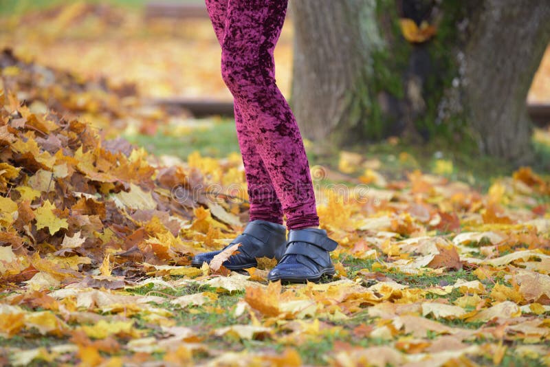 Woman Legs on Autumn Leaves in Forest Stock Image - Image of footwear ...