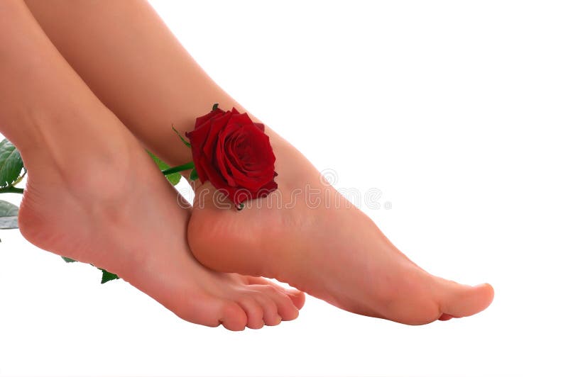 Woman legs with rose stock photo. Image of bodycare, legs - 7572296