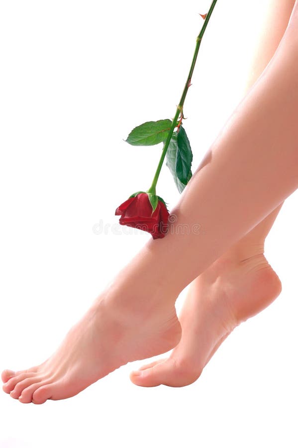 69+ Beautiful woman legs rose Free Stock Photos - StockFreeImages