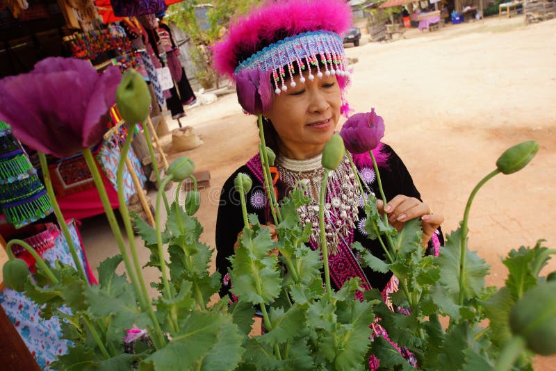 Woman look at opium stock image. Image of hmong, uniform - 27702455
