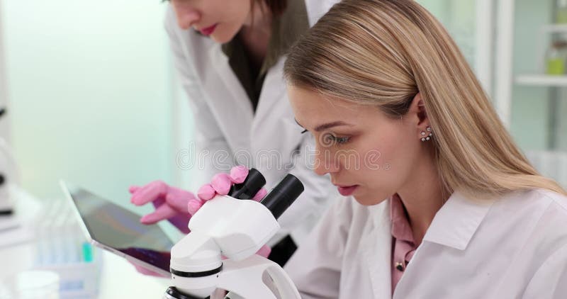 Woman Looks in Microscope while Colleague Inputs Data in Tablet Stock ...