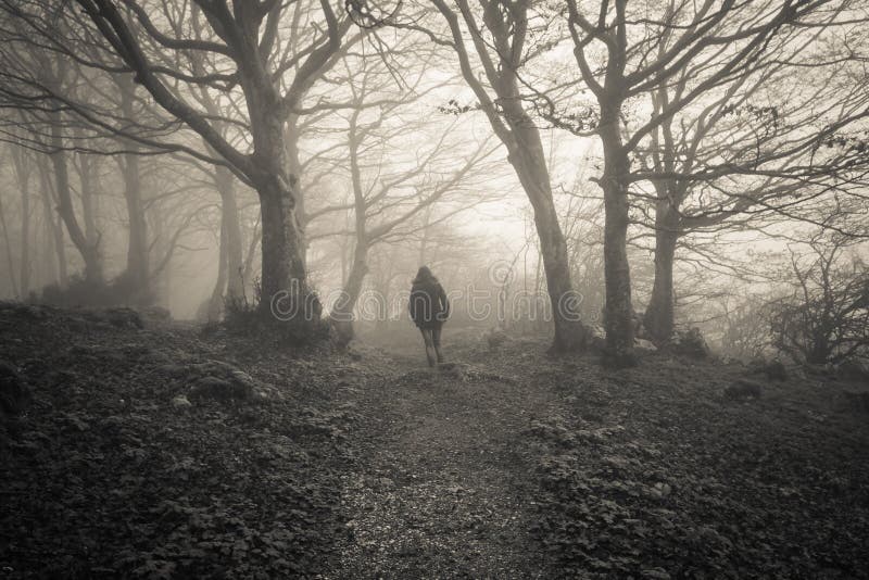 Woman Lost in the Dark Forest Stock Photo - Image of ghost, darkness ...