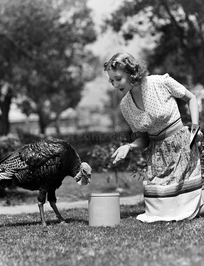 Woman Luring Turkey To Hatchet with Corn Stock Image - Image of bygone ...