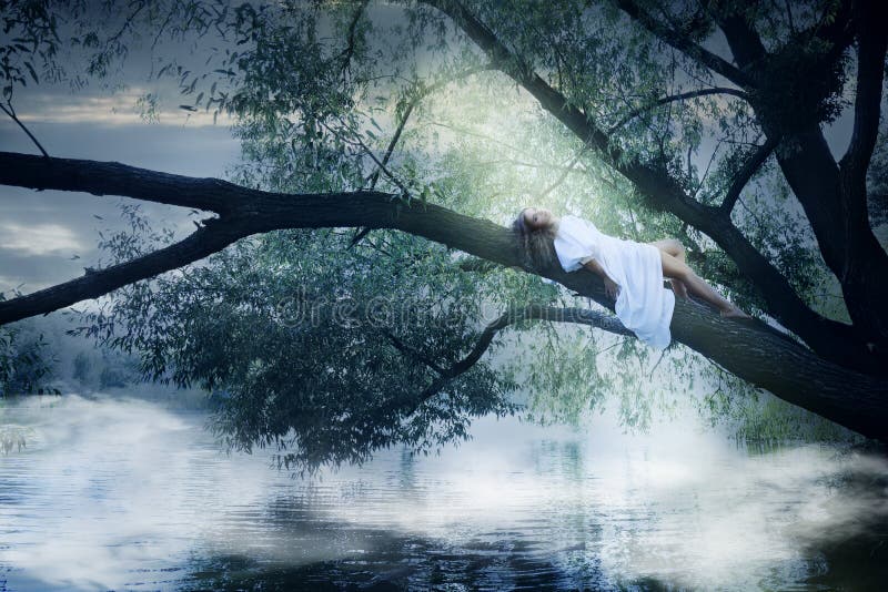 Woman lying on a tree stock image. Image of lying, beauty - 75985753